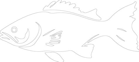 Cod Outline Silhouette 38492632 Vector Art At Vecteezy