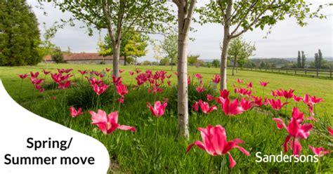 Advertise Now For A Spring Summer Somerset Move