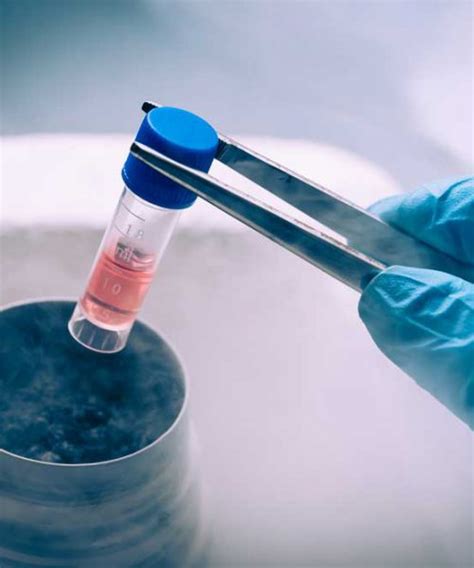 Logistic Network Phd Laboratories