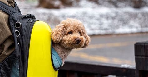 Hacemos Periodismo Infobae