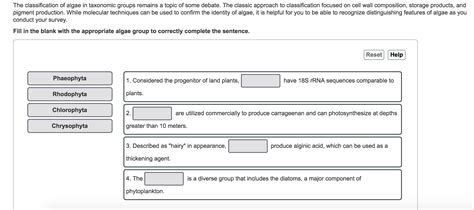 Solved The Classification Of Algae In Taxonomic Groups