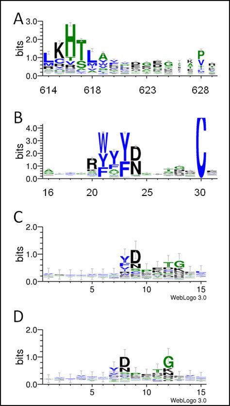 Graphical Representation Of Sequence Conservation Patterns Sequence Download Scientific