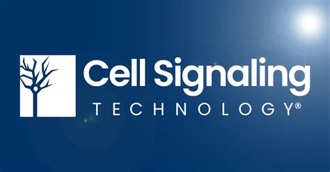 抗体、試薬、プロテオミクス、キット、各種消耗品 Cell Signaling Technology