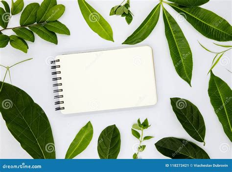 Libreta Espiral En Blanco Y Hojas Verdes Del Verano En El Fondo Blanco