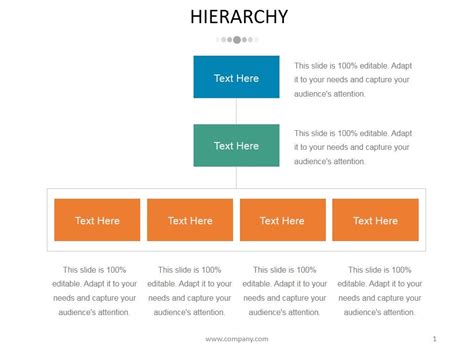 Hierarchy Ppt Powerpoint Presentation Pictures Deck