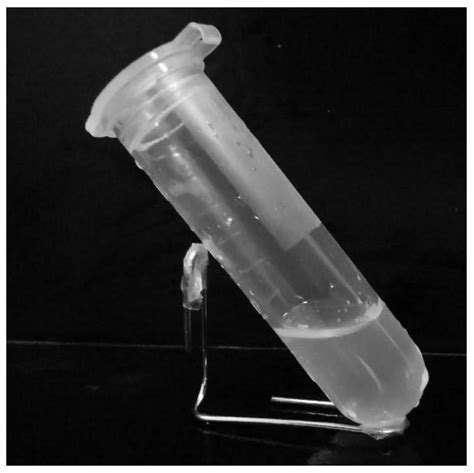 Composite Hydrogel Preparation Method And Application Thereof Eureka Patsnap