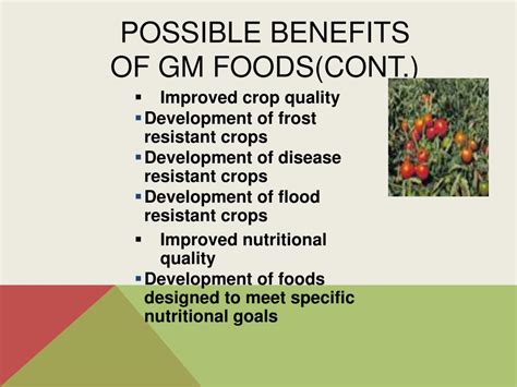 Ppt Genetically Modified Foods Powerpoint Presentation Free Download