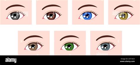 Different Types Of Eyes Colors