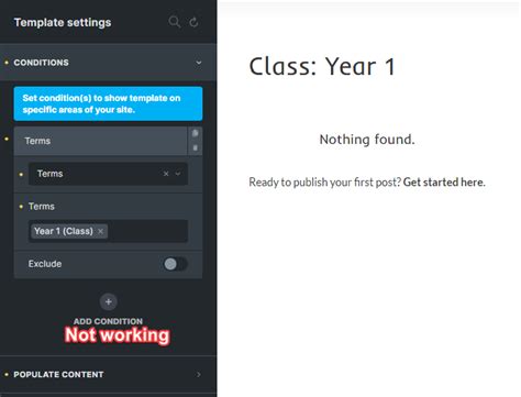 Template Condition For Specific Term Not Working How To Bricks
