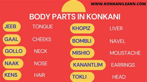 Konkani Learn Spoken Konkani Learn Konkani The Easy Way Learn