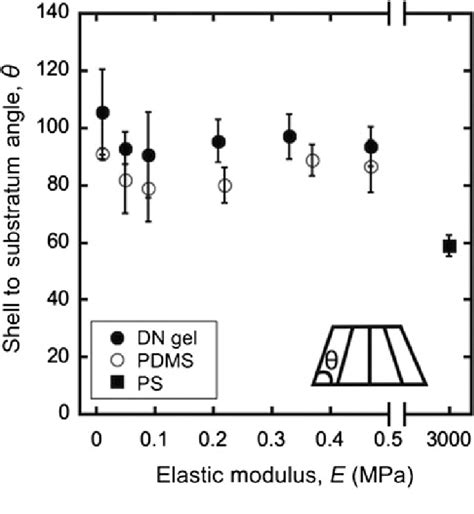 Shell To Substratum Angle Of Barnacles Grown For 172 Days On Ps