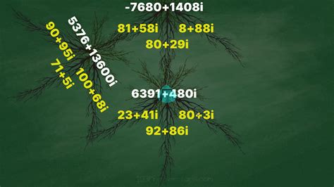 rooted in mathematics by dante