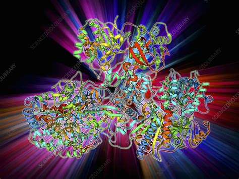 Respiratory Complex I Stock Image F0096329 Science Photo Library