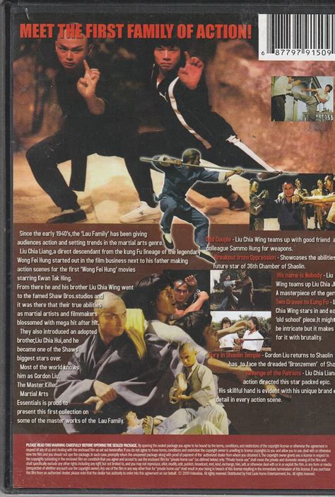 Gordon Liu Movies 60 Photos Moonagedaydream Film