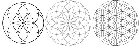 Torus Vector At Collection Of Torus Vector Free For