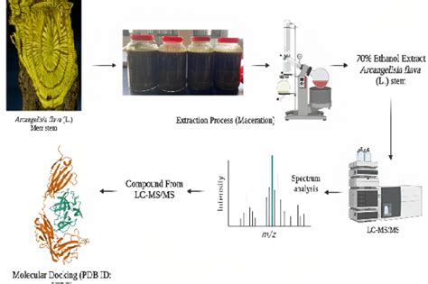 Phytochemical Compounds Identification From 70 Ethanol Extract Of