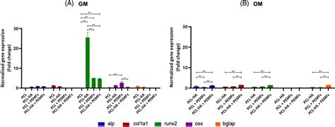 Effect Of Hydroxyapatite And Pulsed Electromagnetic Field On Osteogenic