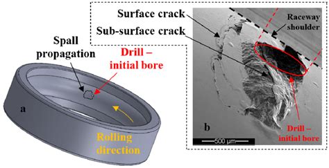 A Schematic Drawing Of The Outer Raceway With The Initial Bore B