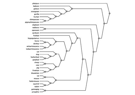 17 clustering of the 34 data with wpgma download scientific diagram