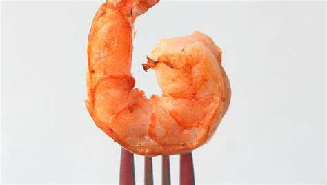 How To Compost Shrimp Shells Explained For Beginners