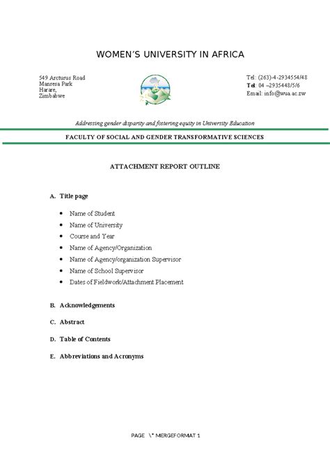 Atachment Report Outline Addressing Gender Disparity And Fostering