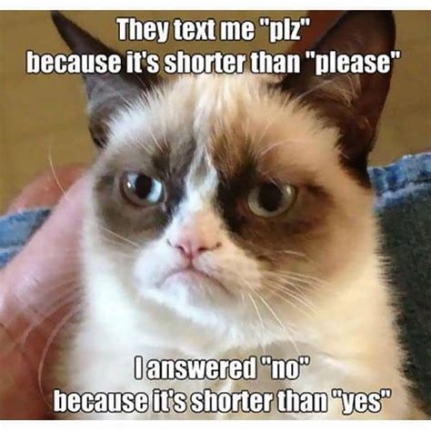 50 Funniest Grumpy Cat Memes Grumpy Cat Meme Imgflip