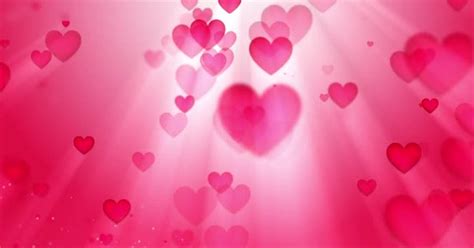 Valentines Hearts Background Loop Backgrounds Motion Graphics Ft Background And Beautiful