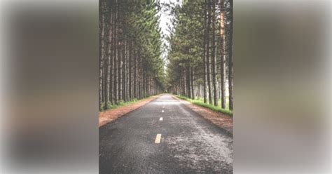 Obituary Information For Michael E “jelly” Cassity