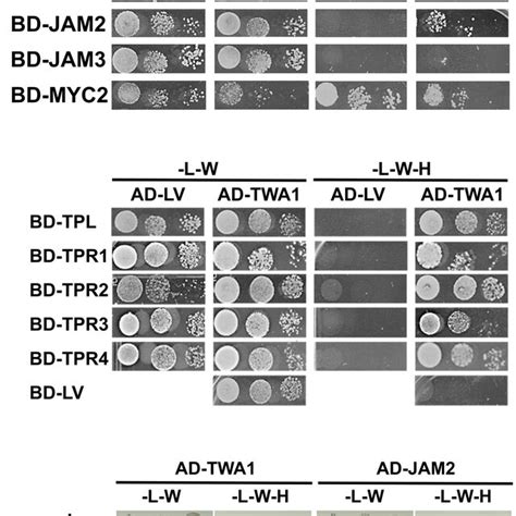 Alexander Christmann Technische Universität München München Tum