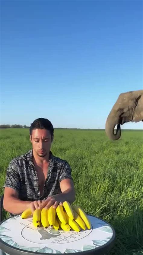 Wunks Greed Is Boundless Album On Imgur