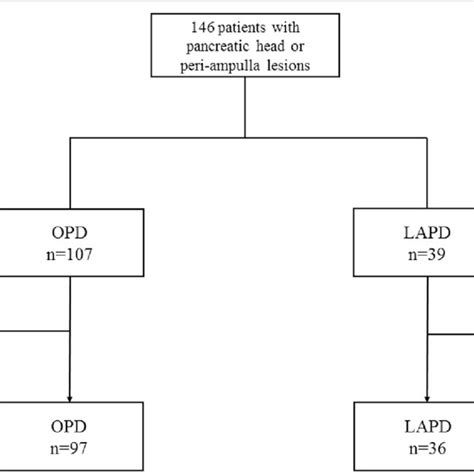 Schematic Diagrams A The Mesenteric Defect Left In First Operation Download Scientific