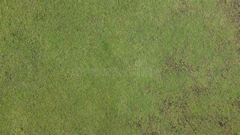 Aerial Top View Grass Aerial Top Down Flyover Shot Stock Video