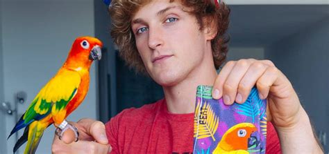 El Rincón De Lombok Blog Sobre Diseño Tecnología Y Rrss