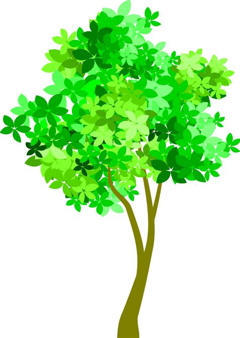 Tree Png Forest 16583562 PNG