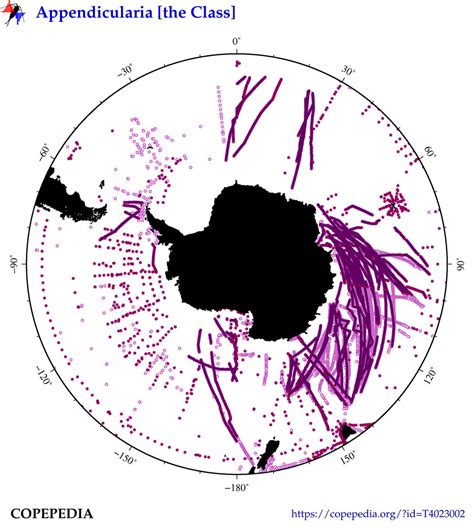 Copepedia Summary For Appendicularia T4023002 Class