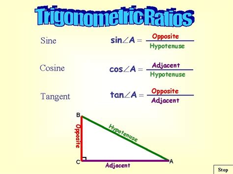 Trigonometric Ratios In Right Triangles The Segment Across