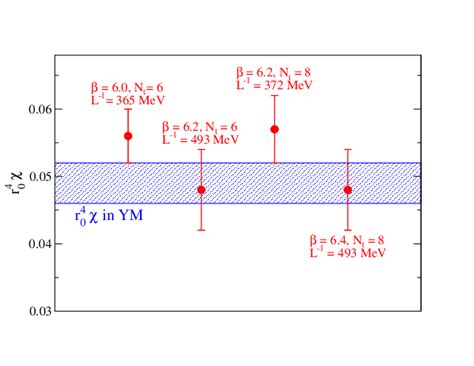 The Plaetau Value Of The Topological Susceptibility For Different