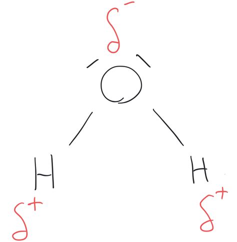 Hvad Er Hydrogenbinding