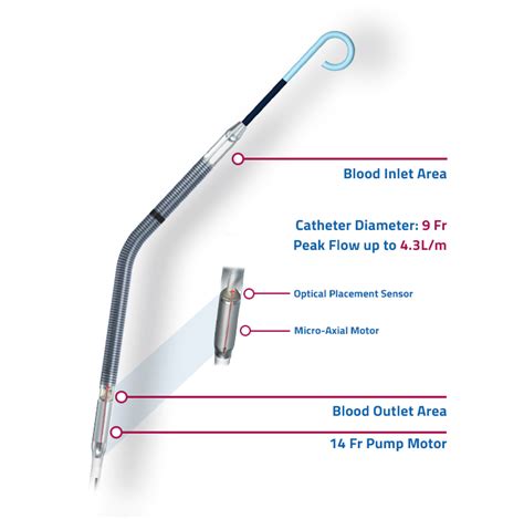 Impella Heart At Kristy Mulkey Blog