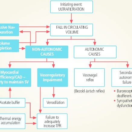 Pdf The Management Of Intradialytic Hypotension