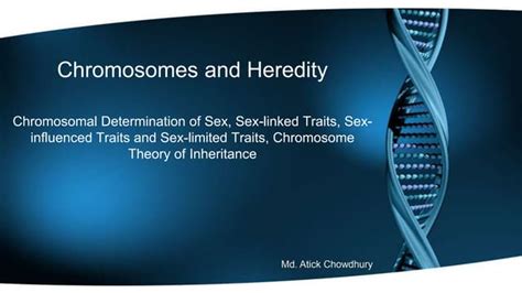 Sexinfluence Sex Linked And Sex Limitedtraits Pdf