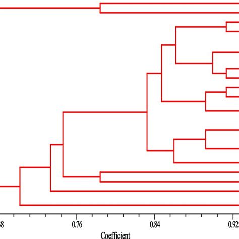 Rep Pcr Analysis Dendrogram And Computer Generated Image Of Rep Pcr