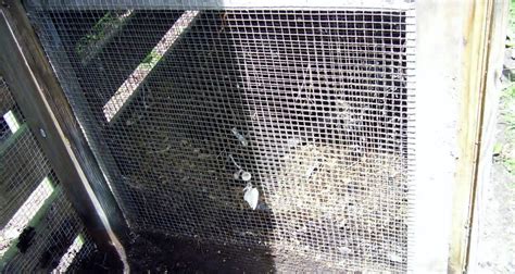 Roberts Flow Through Outdoor Vermicompost System