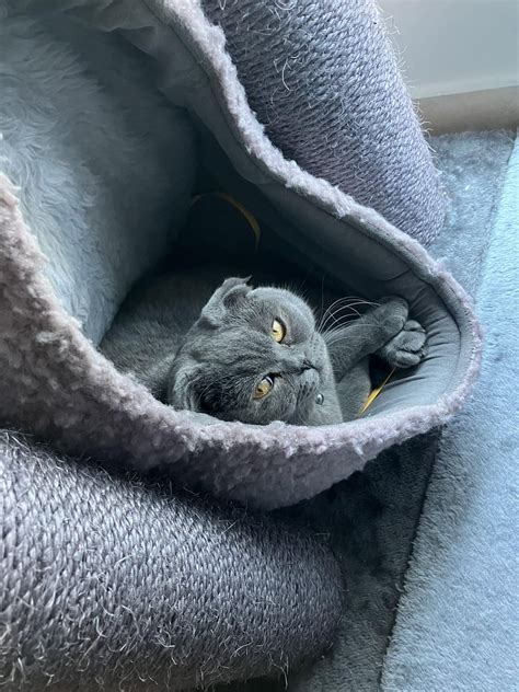 Freya Melling R Uk Babes Underrated