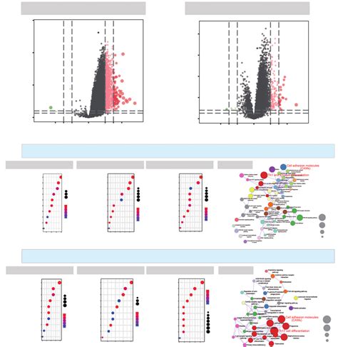 The Differential Expression And Genetic Function Enrichment Analysis Download Scientific