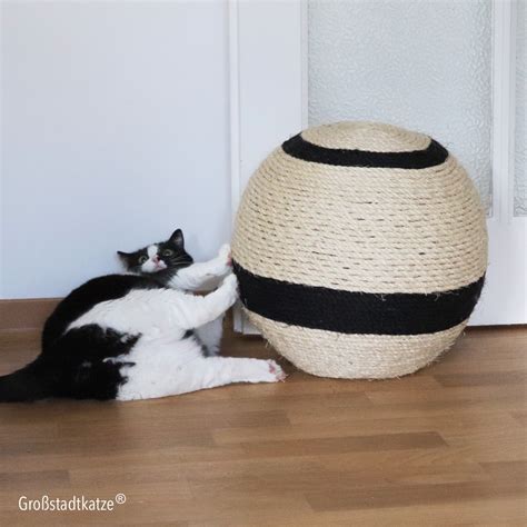 Diy Kratzball And Türstopper