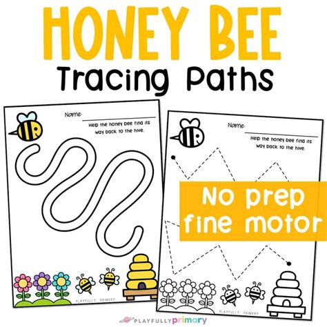 Honey Bee Tracing Paths Spring Line Tracing Bee Fine Motor Tracing