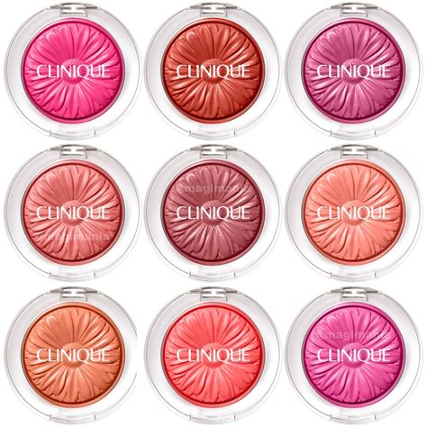 Catrice Lilactric Defining Blush Vs Clinique Pansy Cheek Pop