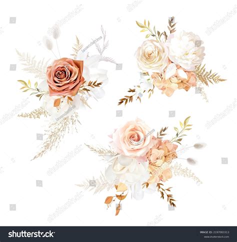 Rust Orange Blush Pink Antique Rose Stock Vector Royalty Free Shutterstock
