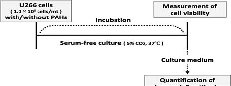 Figure 1 From Analysis Of Immunoglobulin E Antibody Production In The